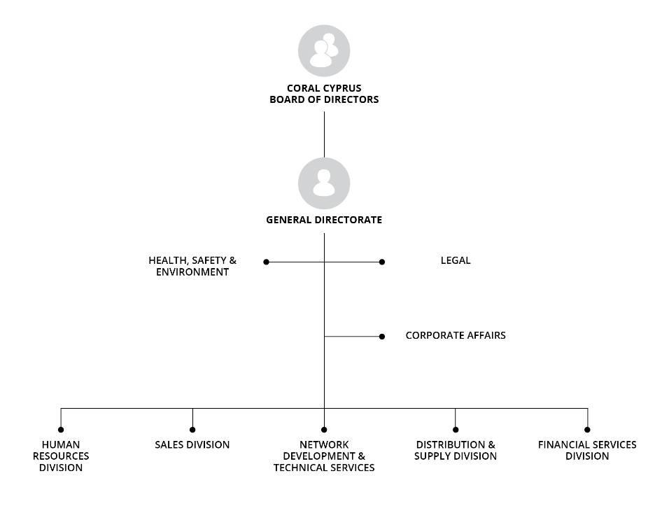 Οrganisational Structure | Coral Energy Cyrpus